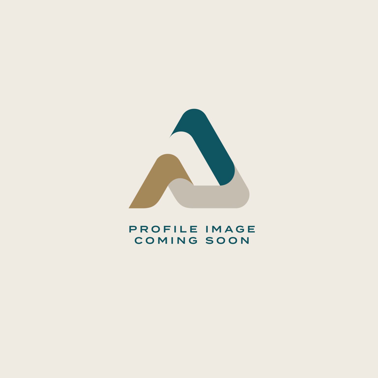 Our Team - Altitude Investment Builders